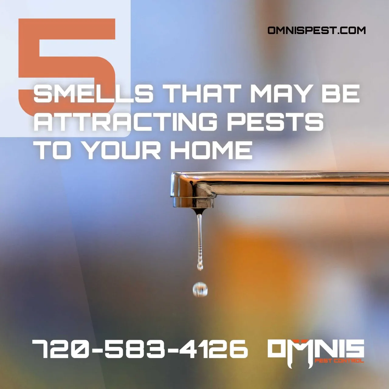 5 Smells That Attract Pests to Your Home - OMNIS Pest Control